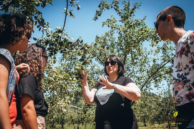 "Basque Cider House" guided tour + meal from San Sebastian - Itinerary Details: Exploring the Cider Route