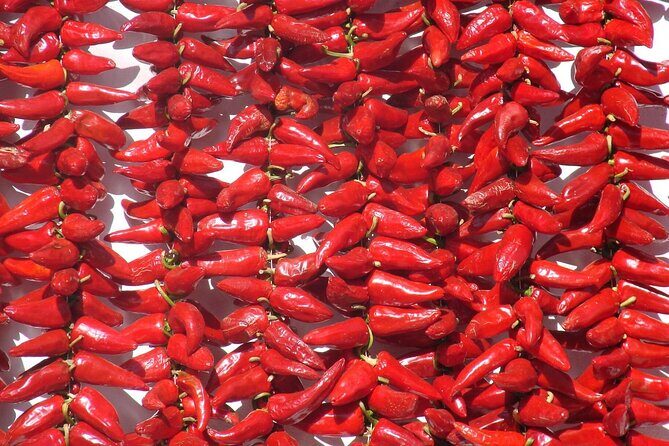 Basque Country Food Tour - Final Thoughts: The Value of a Tasty Cultural Journey