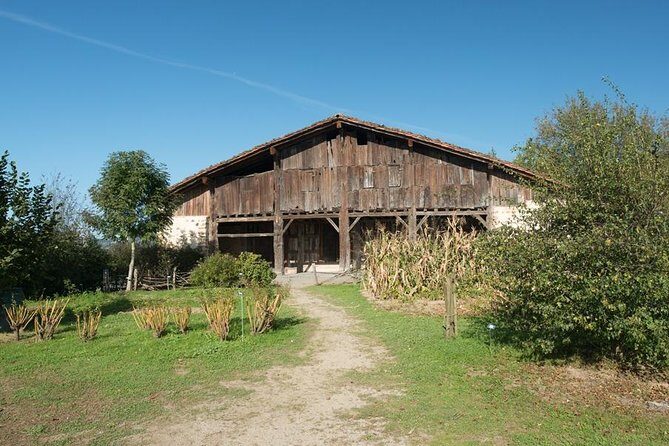 " Basque Farm House & Cider house" tour + meal from San Sebastian - What Youll Experience and Why It Matters