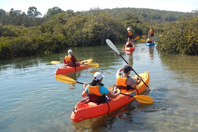 Batemans Bay Glass-Bottom Kayak Tour Over 2 Relaxing Hours - Why We Love This Experience