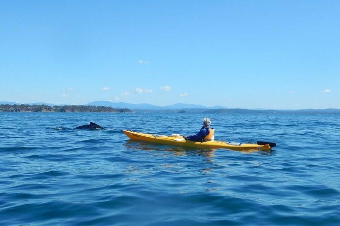 Batemans Bay Glass-Bottom Kayak Tour Over 2 Relaxing Hours - FAQ