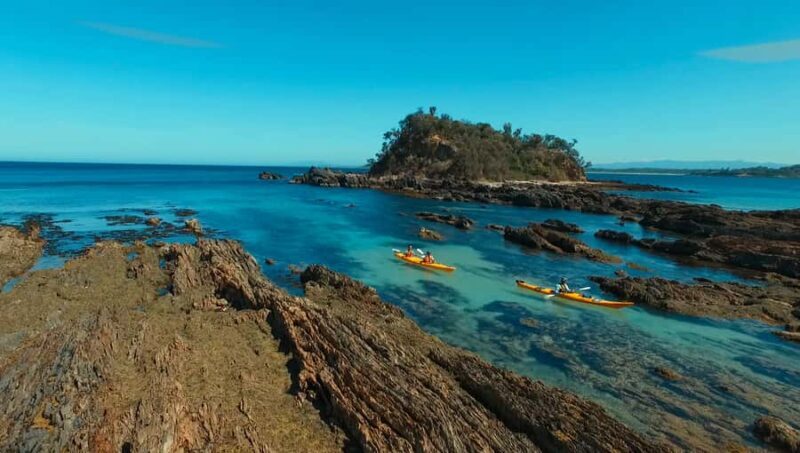 Batemans Bay: Half-Day Sea Kayak Tour - An In-Depth Look at the Batemans Bay Sea Kayak Tour