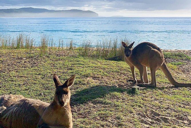 Batemans Bay Overnight Kayak Camping Tour from Canberra - All Inclusive - Practical Details