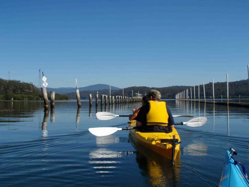 Batemans Bay: Oyster Tasting Kayak Tour - The Experience, Guides, and Equipment