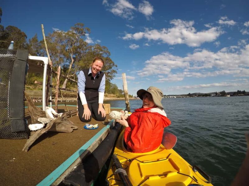 Batemans Bay: Oyster Tasting Kayak Tour - Why This Tour Offers Good Value