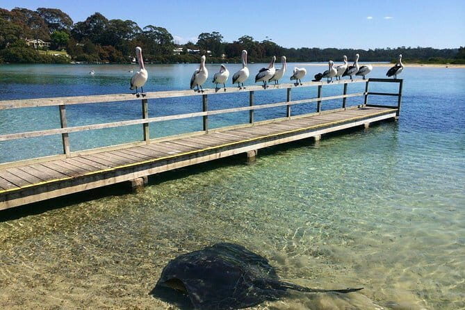 Batemans Bay Sunset Pizza Kayak Tour - Float and Feast - FAQ
