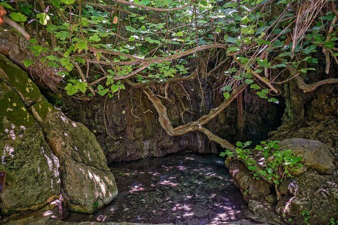 Baths of Aphrodite, Latchi and Blue Lagoon Cruise Tour - Frequently Asked Questions