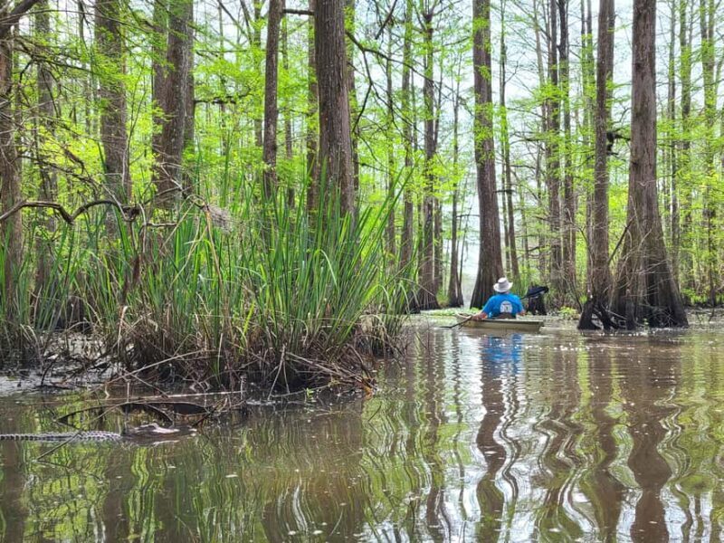 Baton Rouge: Kayak Tour Through the Historic Atchafalaya - Key Points