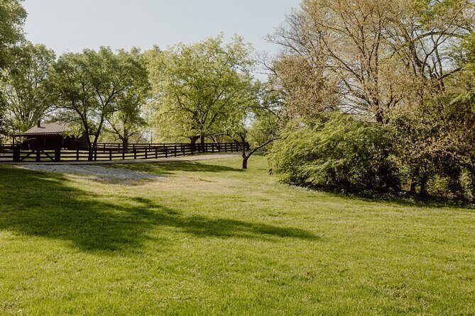 Battle at Belle Meade Civil War Tour & Complimentary Wine Tasting - Who Will Love This Tour?