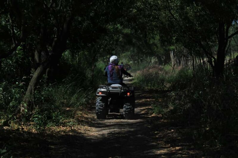 Batumi: Extreme Escape  ATV, Buggy, Horses & Hike - The Experience and What Travelers Say