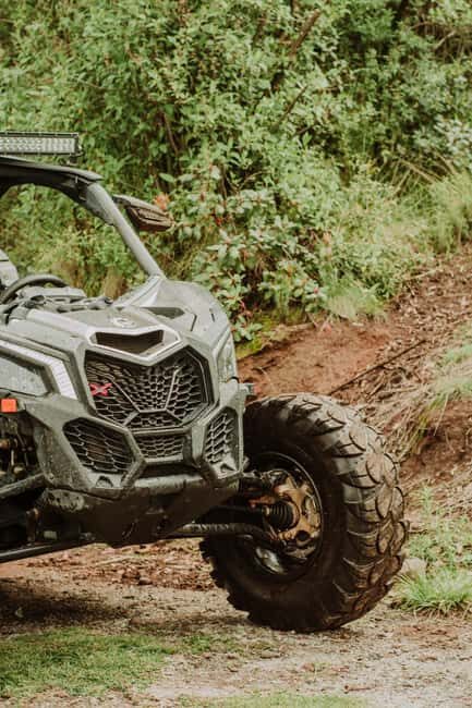 Batumi: Extreme Escape  ATV, Buggy, Horses & Hike - The Sum Up