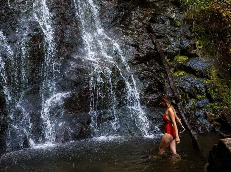 Batumi: Makhuntseti, Machakheta, & Mirveti Tour with Lunch - FAQ