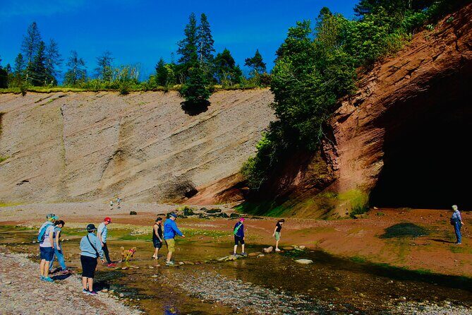 Bay Of Fundy Guided Tour - An Honest Look at the Itinerary and Experience