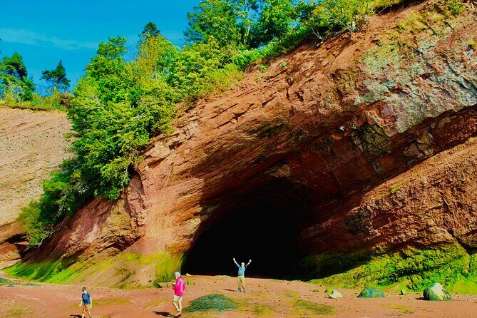 Bay Of Fundy Guided Tour - Who Will Love This Tour?