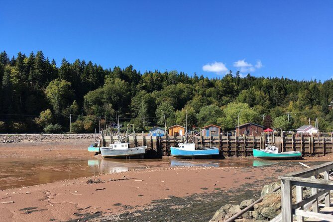 Bay of Fundy Tour by Bus - Timing and Pacing