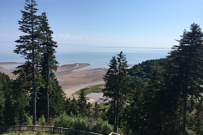 Bay of Fundy Tour by Bus - Price and Value