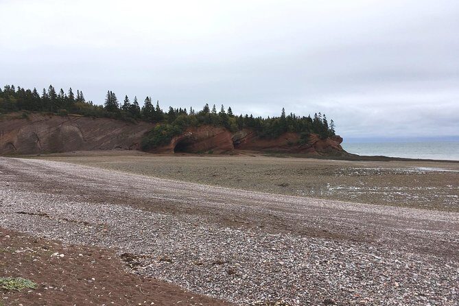 Bay of Fundy Tour by Bus - Who Will Love This Tour?