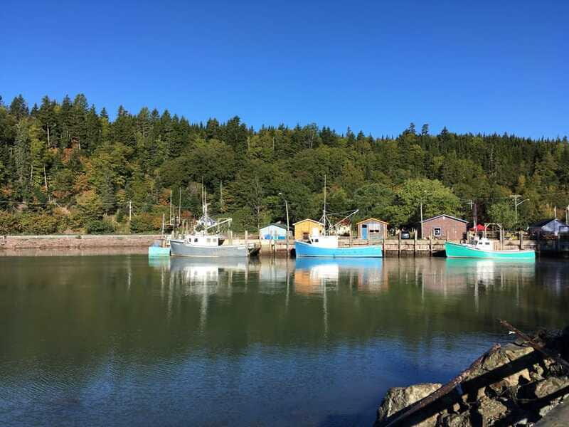 Bay of Fundy Tour by Luxury Car - The Bay of Fundy: The Showstopper