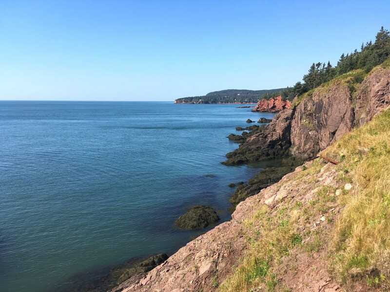 Bay of Fundy Tour by Luxury Car - Saint John City Market: A Local Favorite