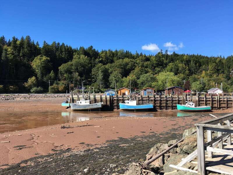 Bay of Fundy Tour by Mini Van - Authentic Experiences and Insights from Reviews