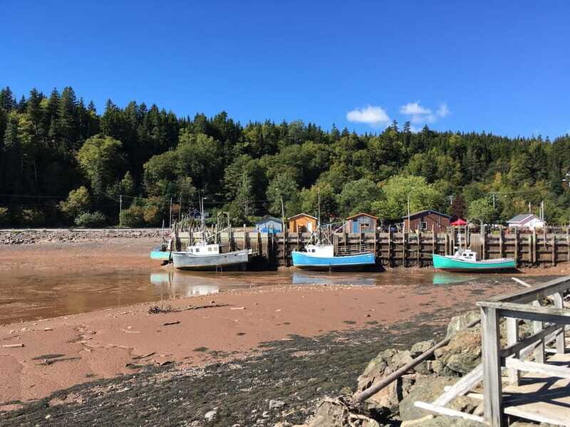Bay of Fundy Tour by Mini Van - Frequently Asked Questions