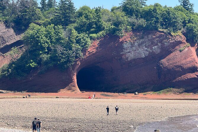 Bay of Fundy Tour Saint John NB - An In-Depth Look at the Tour Experience