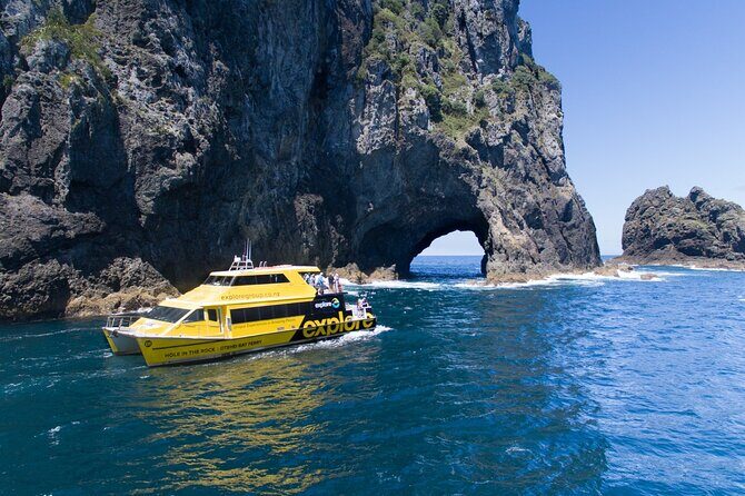 Bay of Island Day Tour with Hole in the rock cruise from Auckland - Key Points