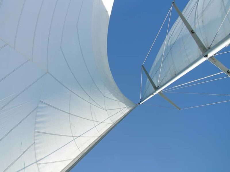 Bay of Islands: Awesome Day Sailing Tour with Island Stop - Authentic Reviews and Insights