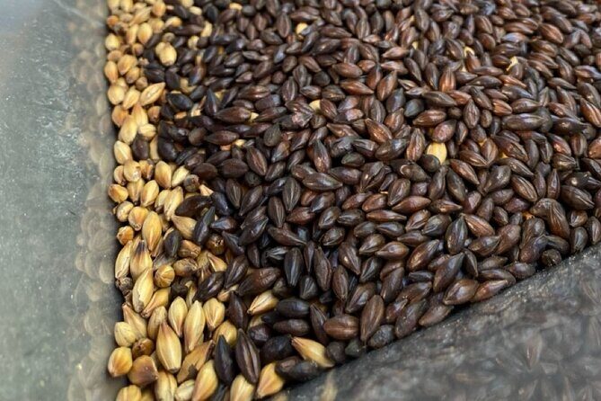 Bay of Islands Craft Beer Brewery Tour and Haruru Falls, Paihia - Final Thoughts