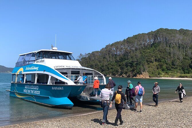 Bay of Islands Cruise & Island Tour - Snorkel, Hike,Swim,Wildlife - Who Will Love This Tour?