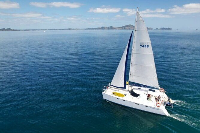 Bay of Islands: Day Sailing Cruise with Island Stop and Lunch - Activities and Experiences on Offer