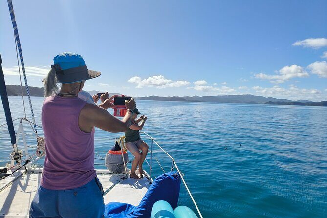 Bay of Islands: Day Sailing Cruise with Island Stop and Lunch - Price and Value