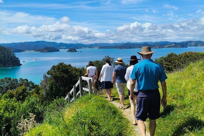 Bay of Islands: Day Sailing Cruise with Island Stop and Lunch - Who Should Consider This Tour?