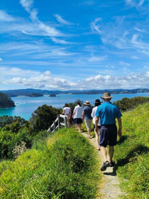Bay of Islands: Day Sailing Cruise with Island Stop & Lunch - Why This Tour Works for You