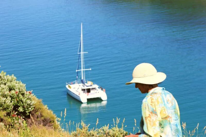 Bay of Islands: Day Sailing Cruise with Island Stop & Lunch - Authentic Guest Insights
