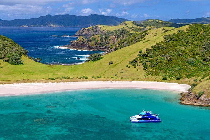 Bay of Islands Explorer Experience Small Group Tour From Auckland - Who Will Love This Tour?