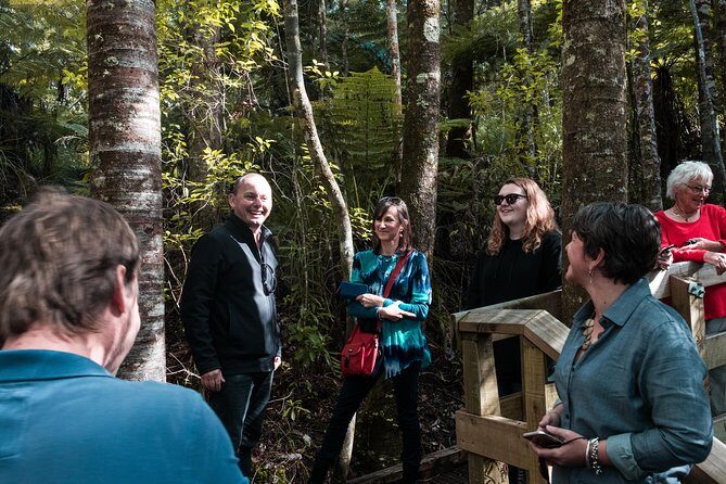 Bay of Islands Glow Worm Caves & Scenic Shore Excursion - Who Will Love This Tour?