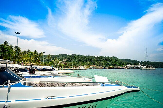 Bay of Islands Hole in the Rock Cruise Day Tour - The Sum Up