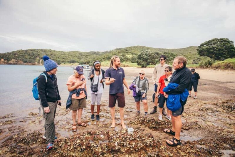 Bay of Islands Journey: Sail, Snorkel & Explore in 5 Days - Practical Details and What to Expect