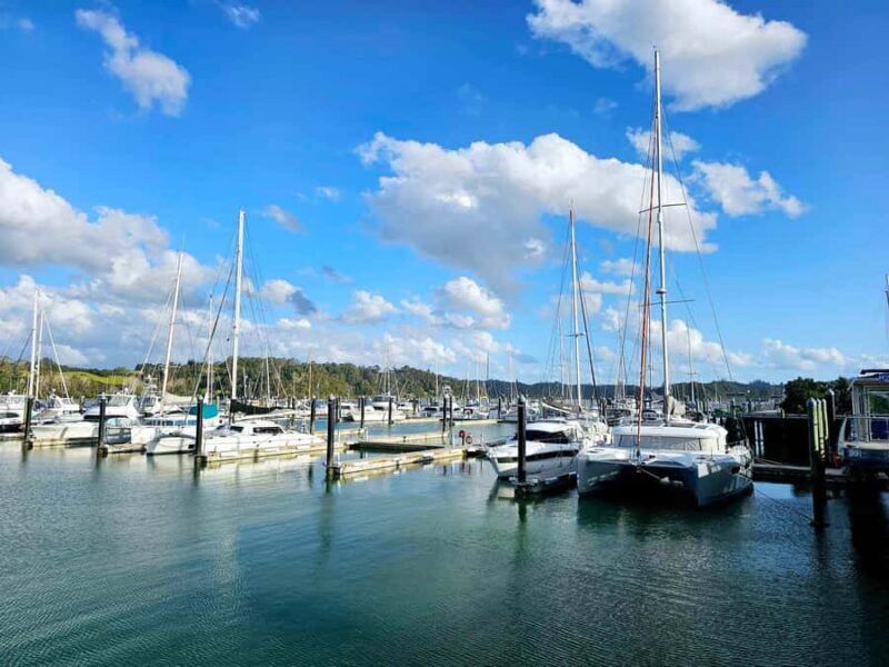 Bay of Islands - Mini Tour (75-90 mins) - Transportation and Logistics