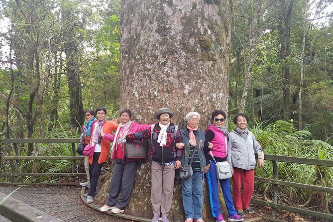 Bay of Islands Shore Excursion: Puketi Rainforest Guided Walk - FAQ