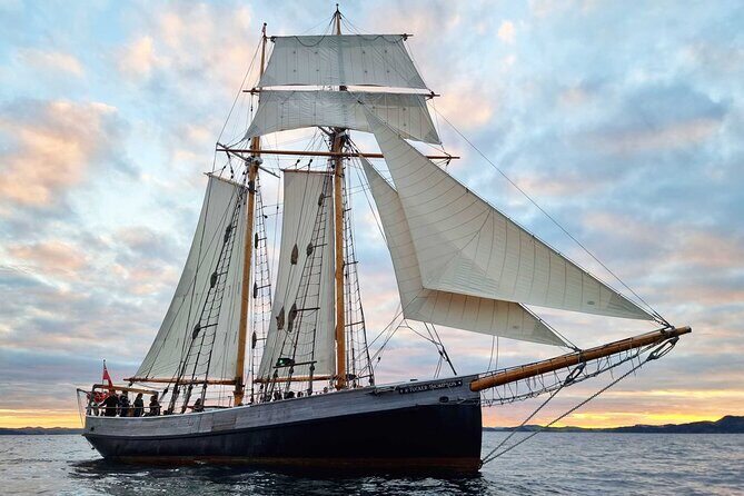 Bay of Islands Tall Ship Sundowner Sailing - Key Points