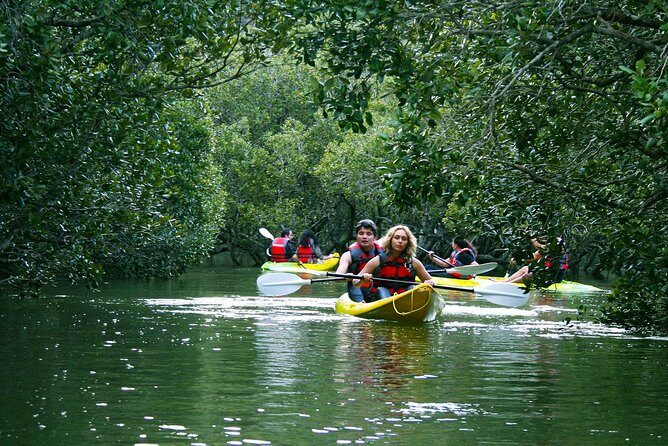 Bay of islands Waterfall Cruise Kayaking Tour - An In-Depth Look at the Waterfall Kayaking Tour