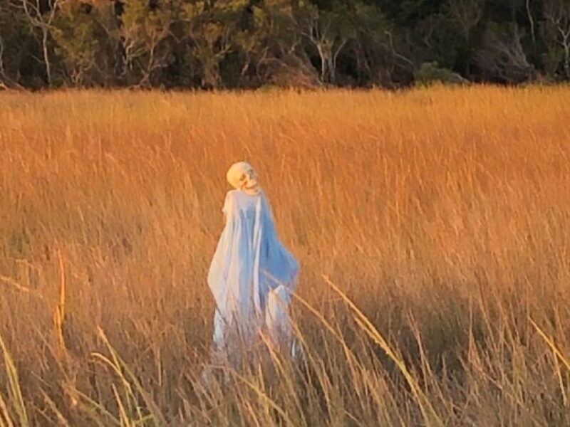 Bay Saint Louis, MS: The Haunted Bayou Cruise - Key Points