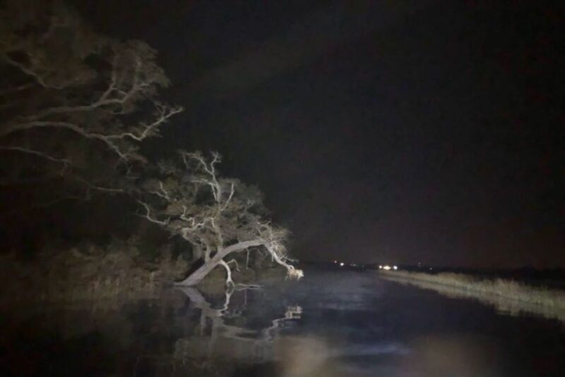 Bay Saint Louis, MS: The Haunted Bayou Cruise - Who Is This Tour Best For?