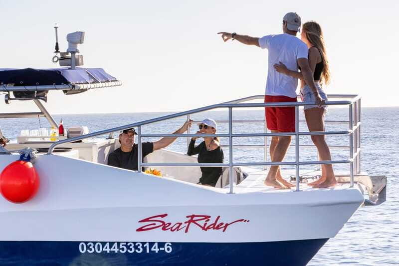 Bay trip and the Arch of Cabo San Lucas - Final Thoughts: Who Should Book This Tour?