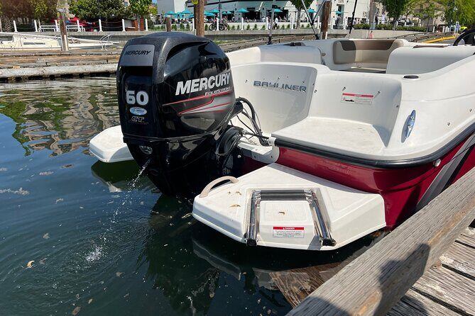 Bayliner Element 60HP Boat - Why Choose the Bayliner Element 60HP Boat Tour?