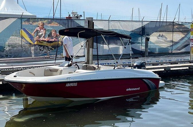 Bayliner Element 60HP Boat - Is This Experience for You?