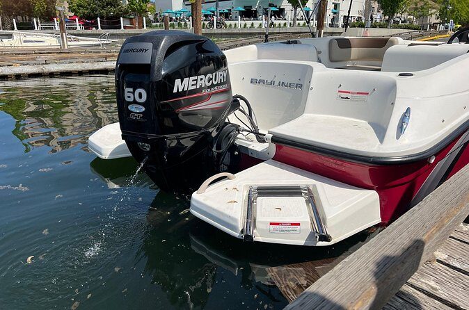 Bayliner Element 60HP Boat - Final thoughts