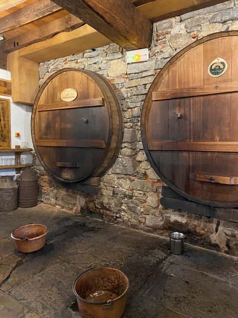 Bayonne: Guided Food Walking Tour (with Food and Drinks) - Who Will Love This Tour?